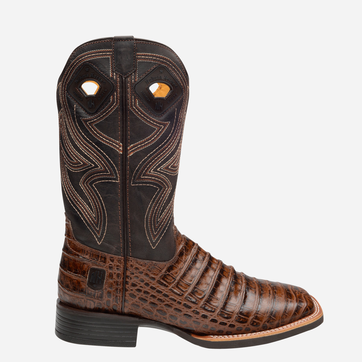 Caballero – Nokota Horse