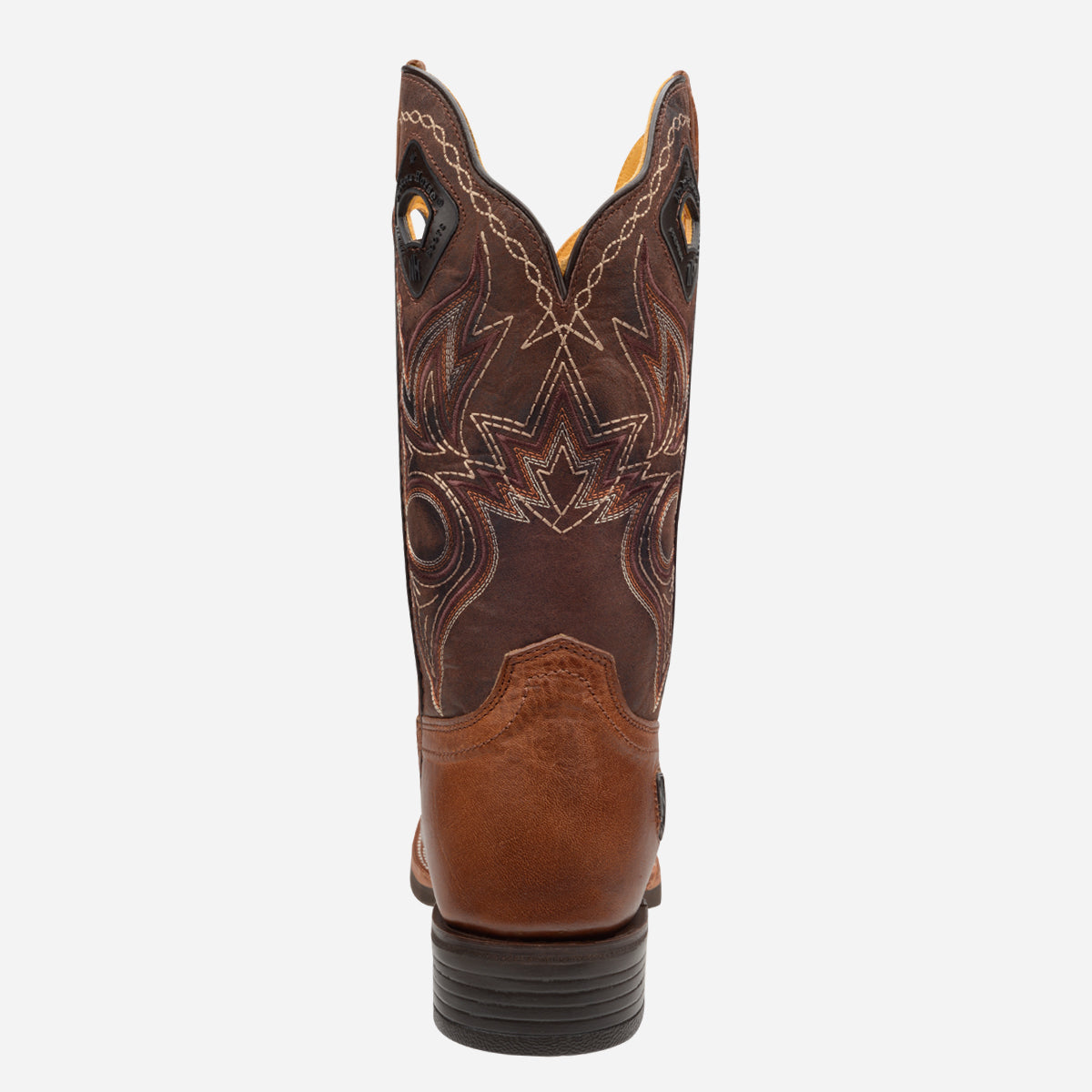 Morgan 10 Paddock Plus Camel – Nokota Horse